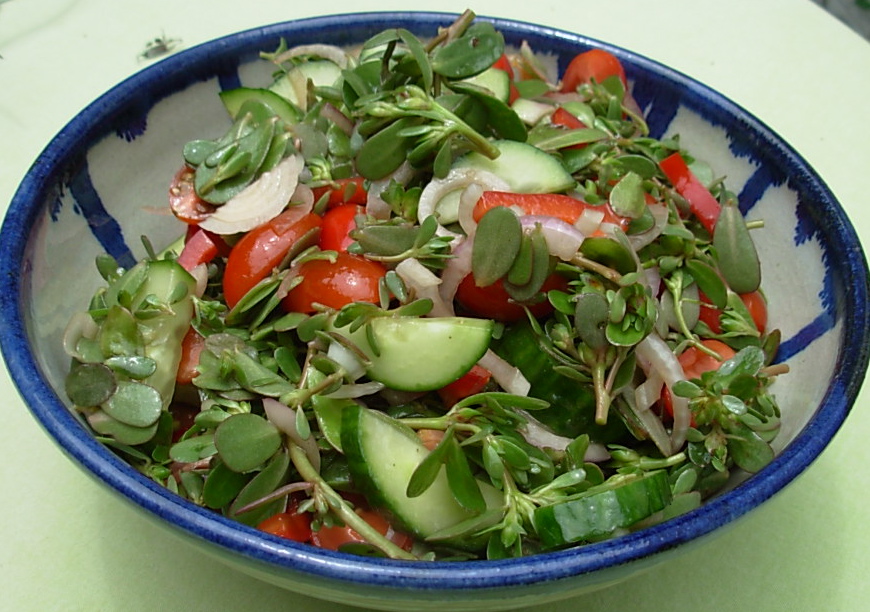 From Kirsten's Kitchen to Yours: Purslane aka Pigweed Salad