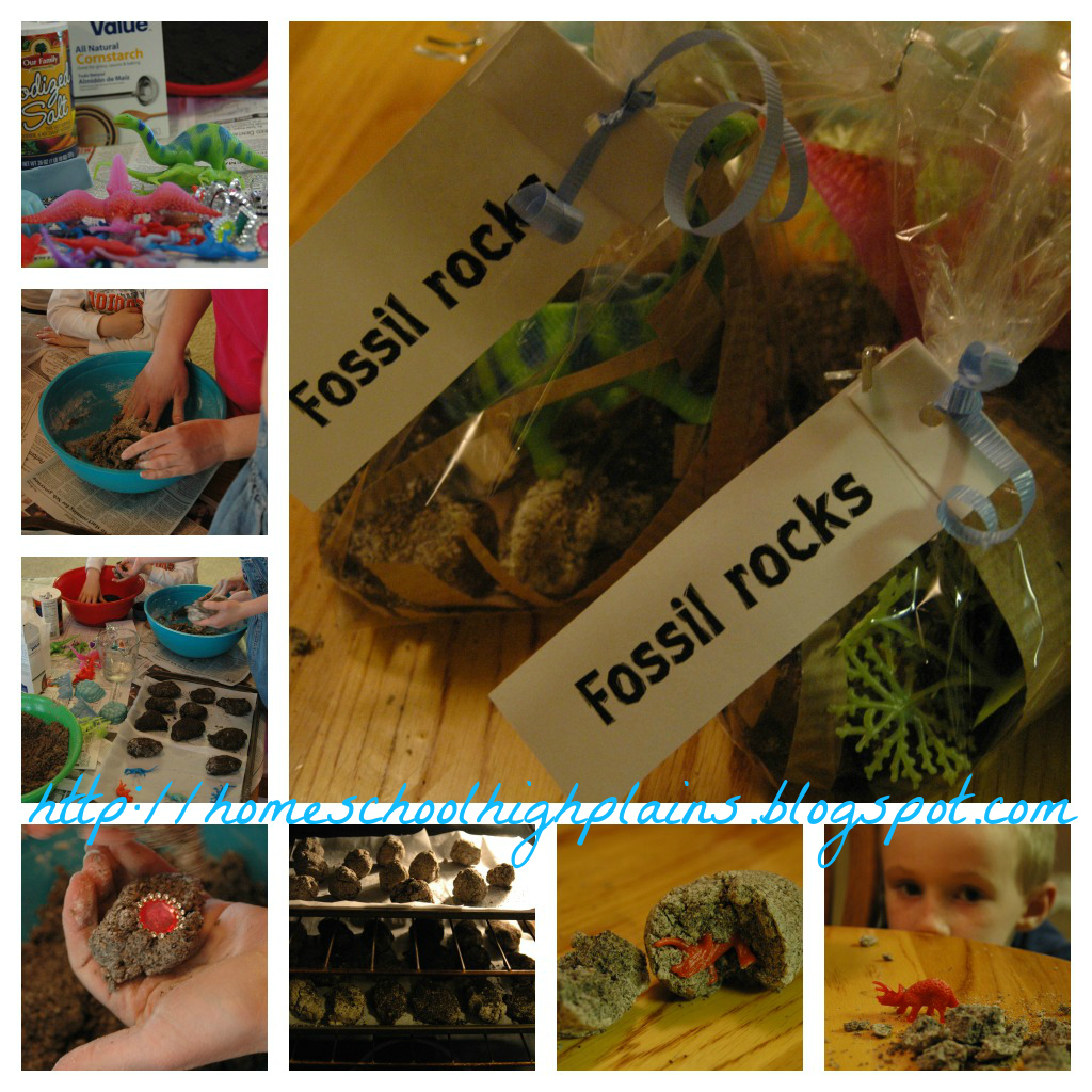 Loving and Learning on the High Plains: How to make a Fossil Rock