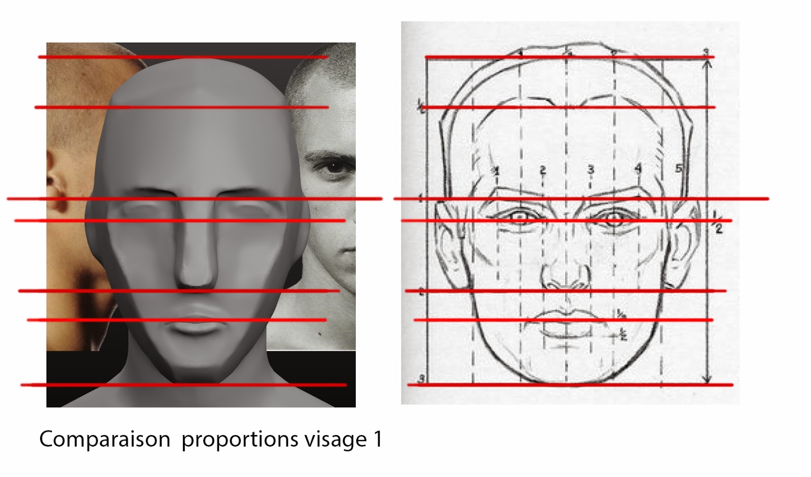 Louis-Rémi Guilbault: Personnage générique - Proportions visage