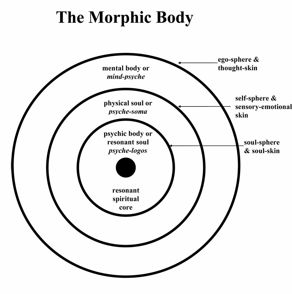 MORPHIC RESONATION and MORPHIC HEALING : The Principle and Practice of ...