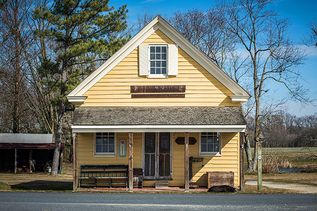 AfriClassical: New York Times: Harriet Tubman's Path to Freedom ...