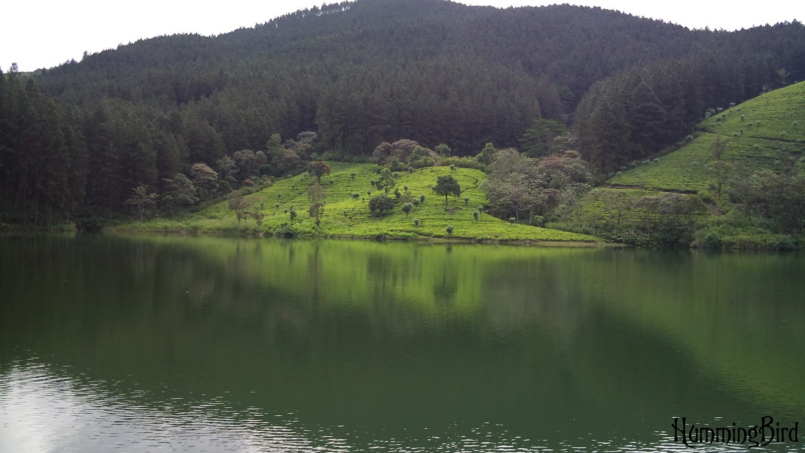 Beautiful Sri Lanka: Sembuwatta Lake,Matale,Sri Lanka