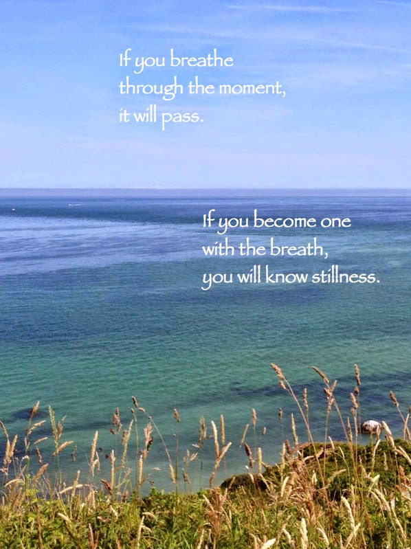 Running on at the Ink: "Know Stillness" - photo and poem by Cristina M ...