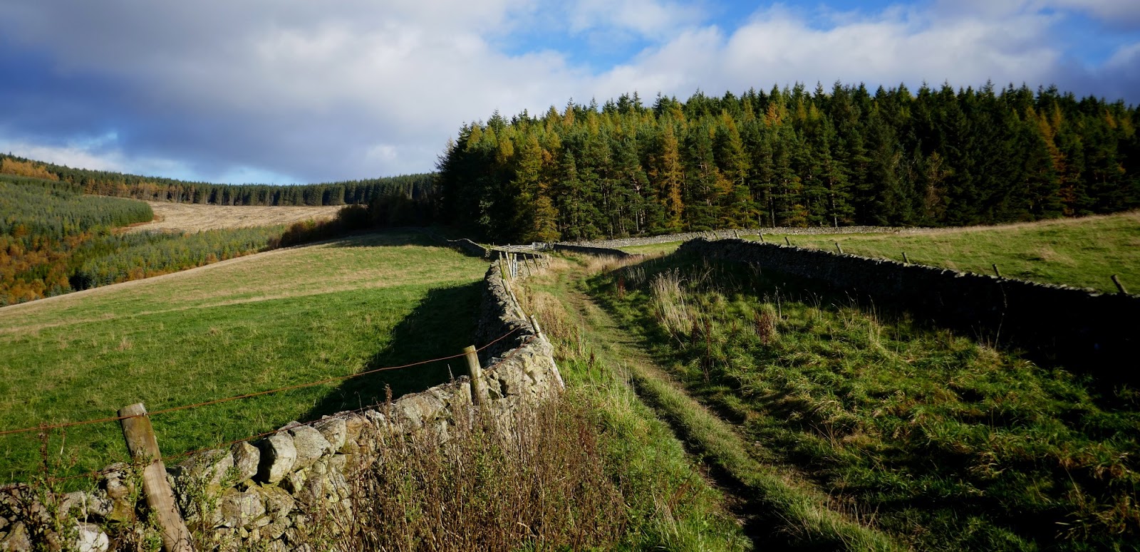 best part of the day: Tweed Valley Ultra Recce and Oct TB