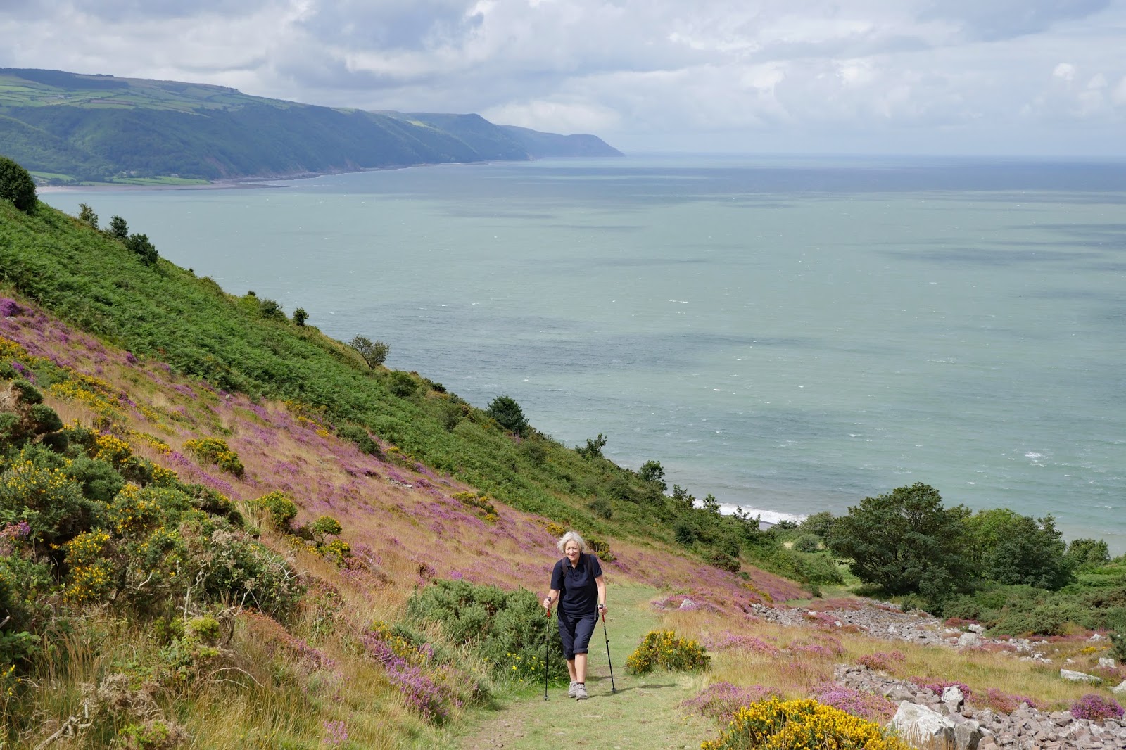 Walking in the country: Porlock Weir to Minehead (South West Coast Path ...