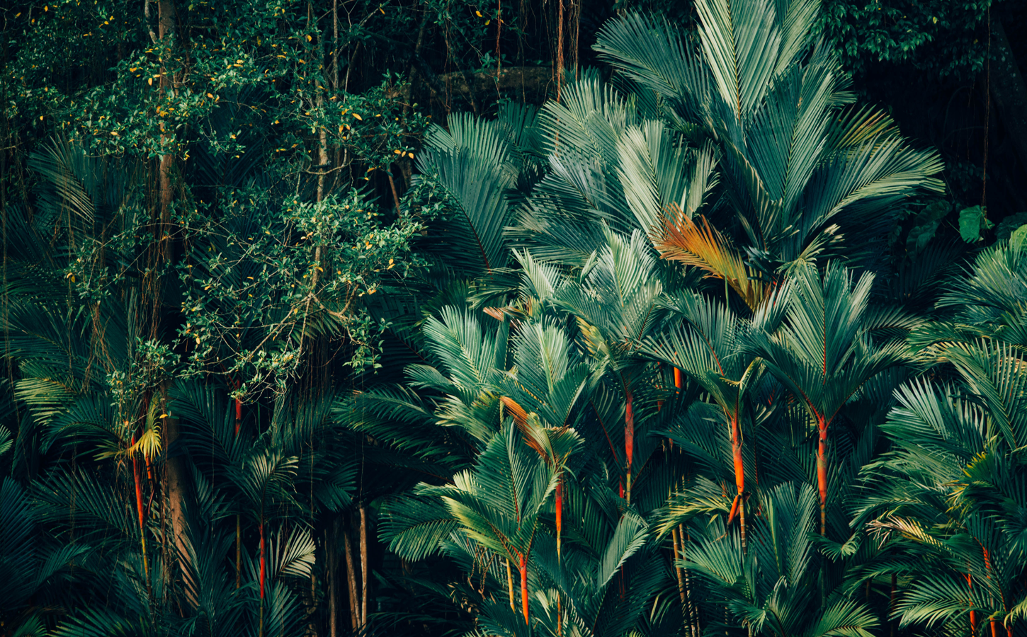 Kuara – Packaging Of The World