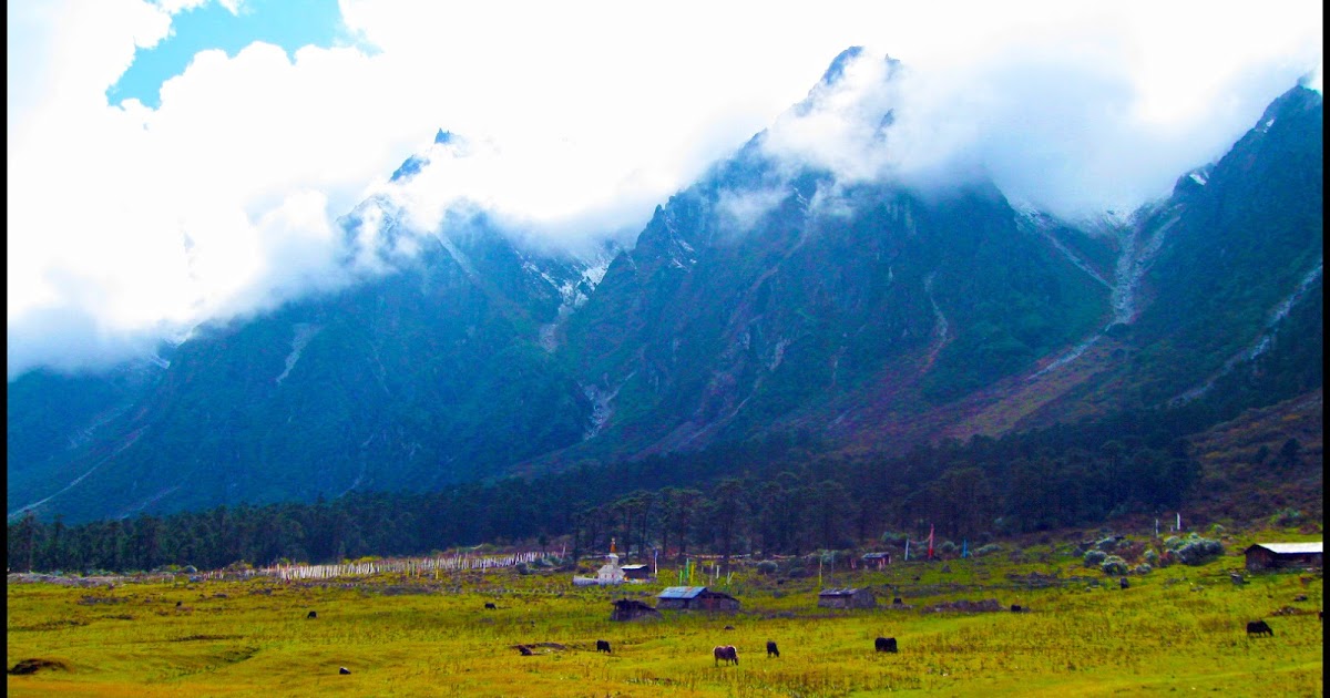 Yumthang - Sikkim - India | Travel life journeys