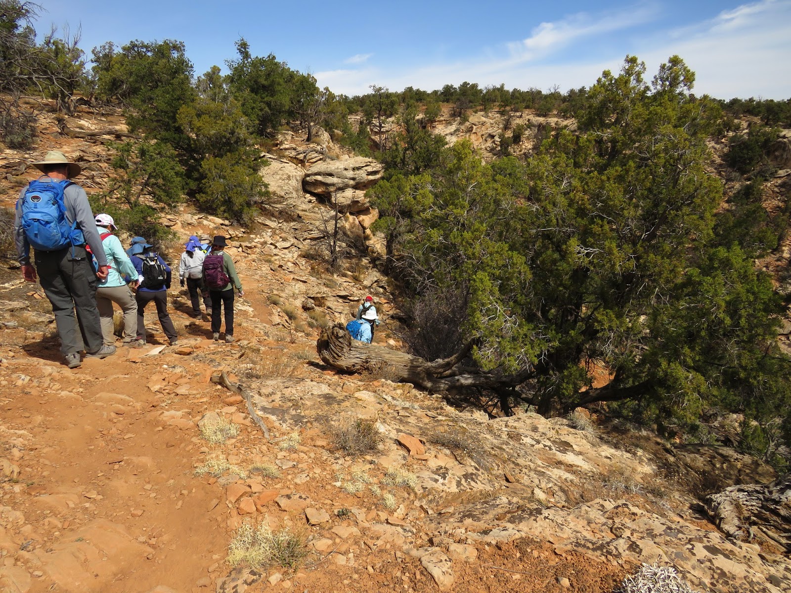 Around the Bend Friends ®: Fallen Roof Ruins & Seven Kivas - Road ...