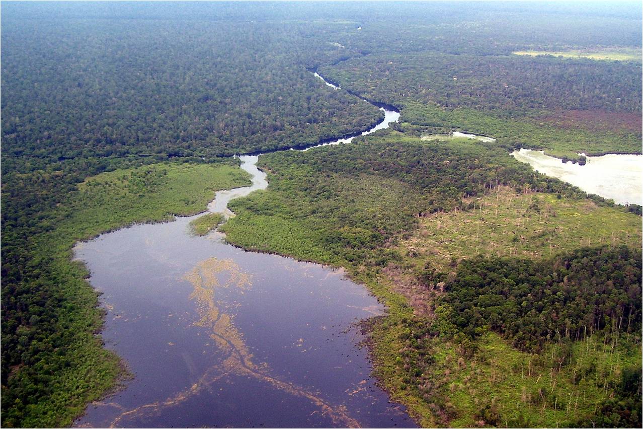 Juni 2012 ~ Cagar Biosfer Giam Siak Kecil - Bukit Batu