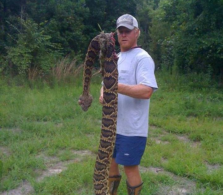 Can You Believe What You See, Mississippi Rattlesnake |TOTUS