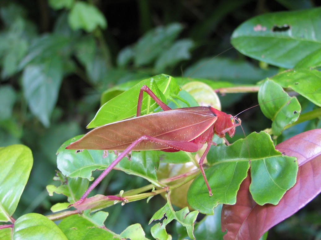 BunyipCo: April 2014