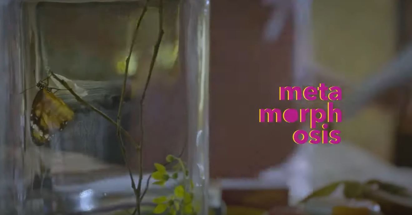 WATCH: Cinema One Originals 2019 METAMORPHOSIS Full Trailer
