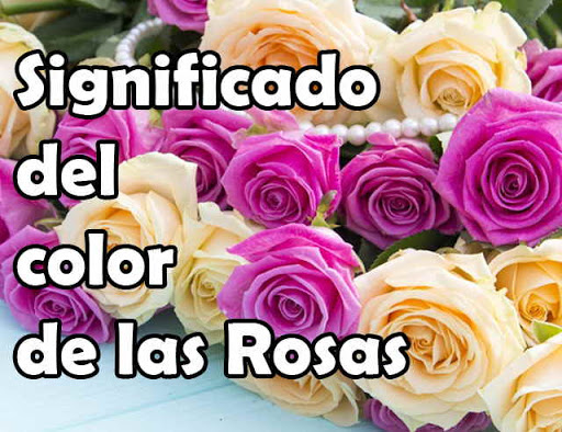 Significado del Color de las Rosas - Significado de los Colores