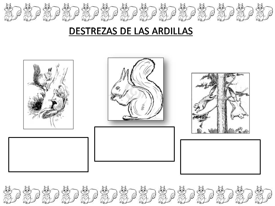 PROYECTO "LAS ARDILLAS"