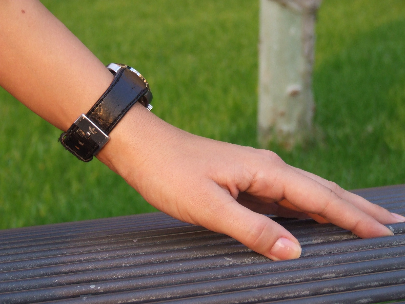 TODOMILI: LA IMPORTANCIA DE LOS SENTIDOS: … EL TACTO!.