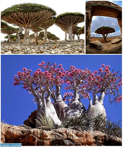 10 Tempat Pelik Jarang Jarang Ditemui. - Gaban Comel