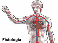 biologia humana: FISIOLOGIA