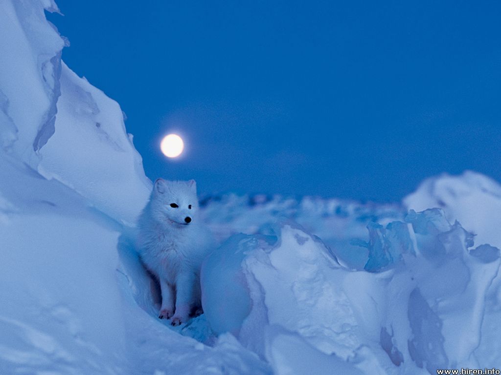 Paisajes azules para fondos - Imagui