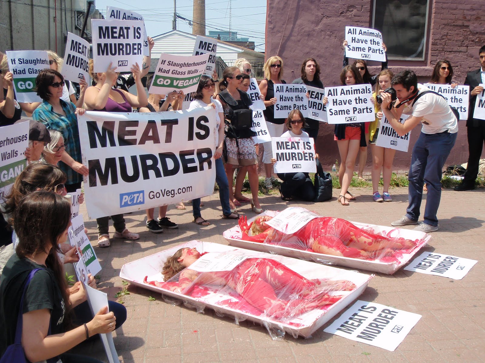 Emily Lavender: Meat Tray Protest at Toronto Slaughterhouse