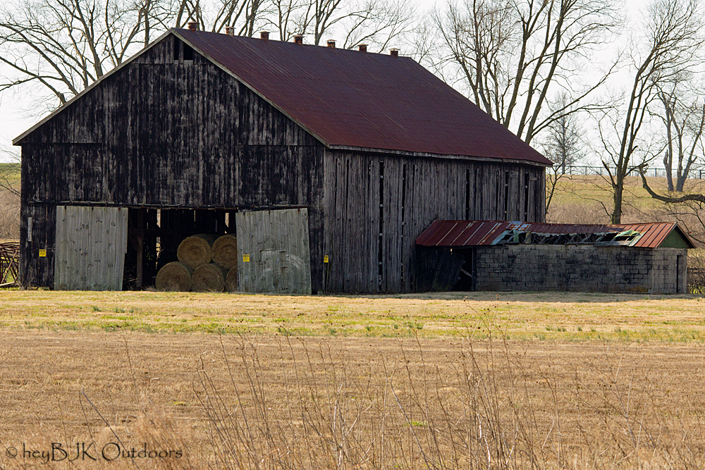 Brian King Images: Kentucky Barns...Old School