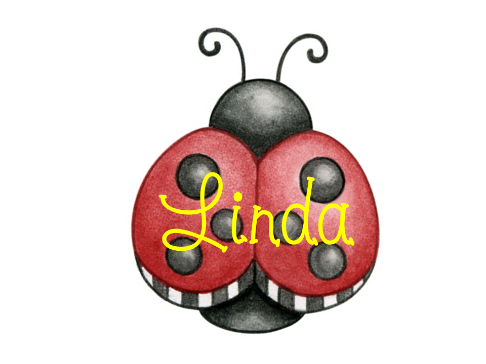 A Teacher's Touch: Ladybug's Emergent Reader