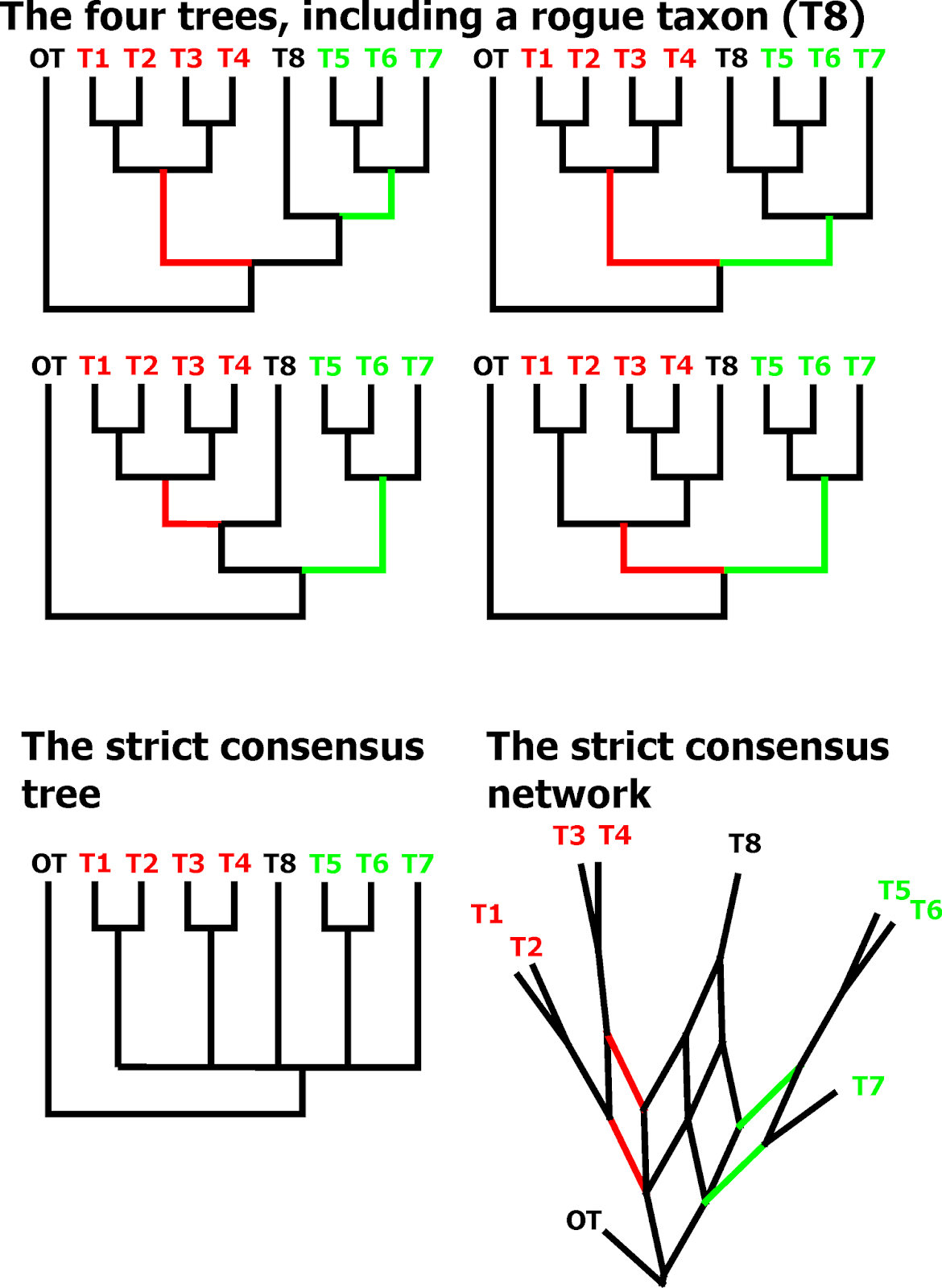 The Genealogical World of Phylogenetic Networks: Clades, cladograms ...
