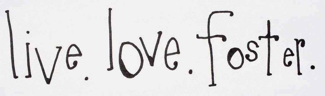 Live. Love. Foster.: An Open Letter to our Friends and Family about our ...