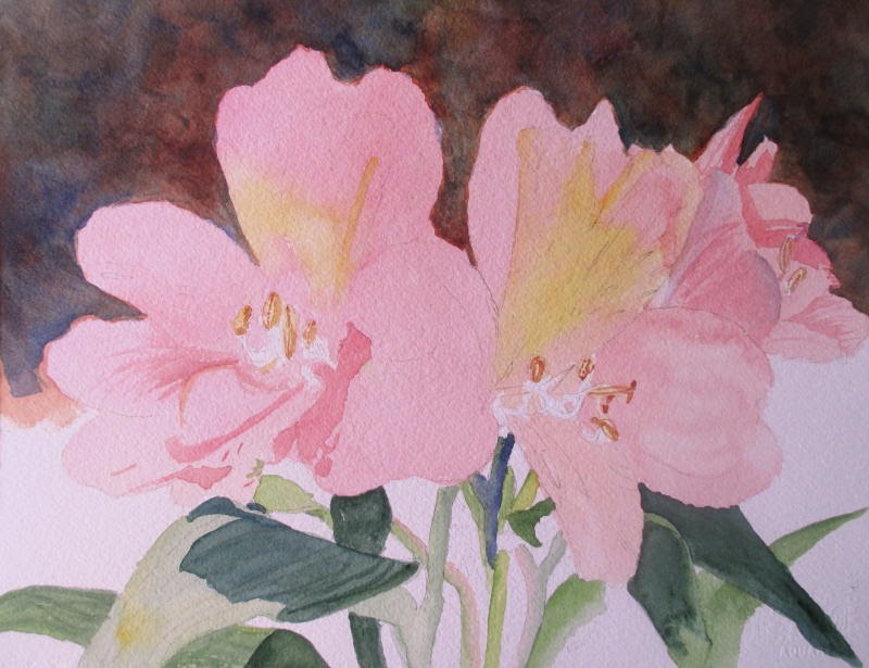 Artist Barbara Rosenzweig's Blog: Art, Gardening, Photography, and ...