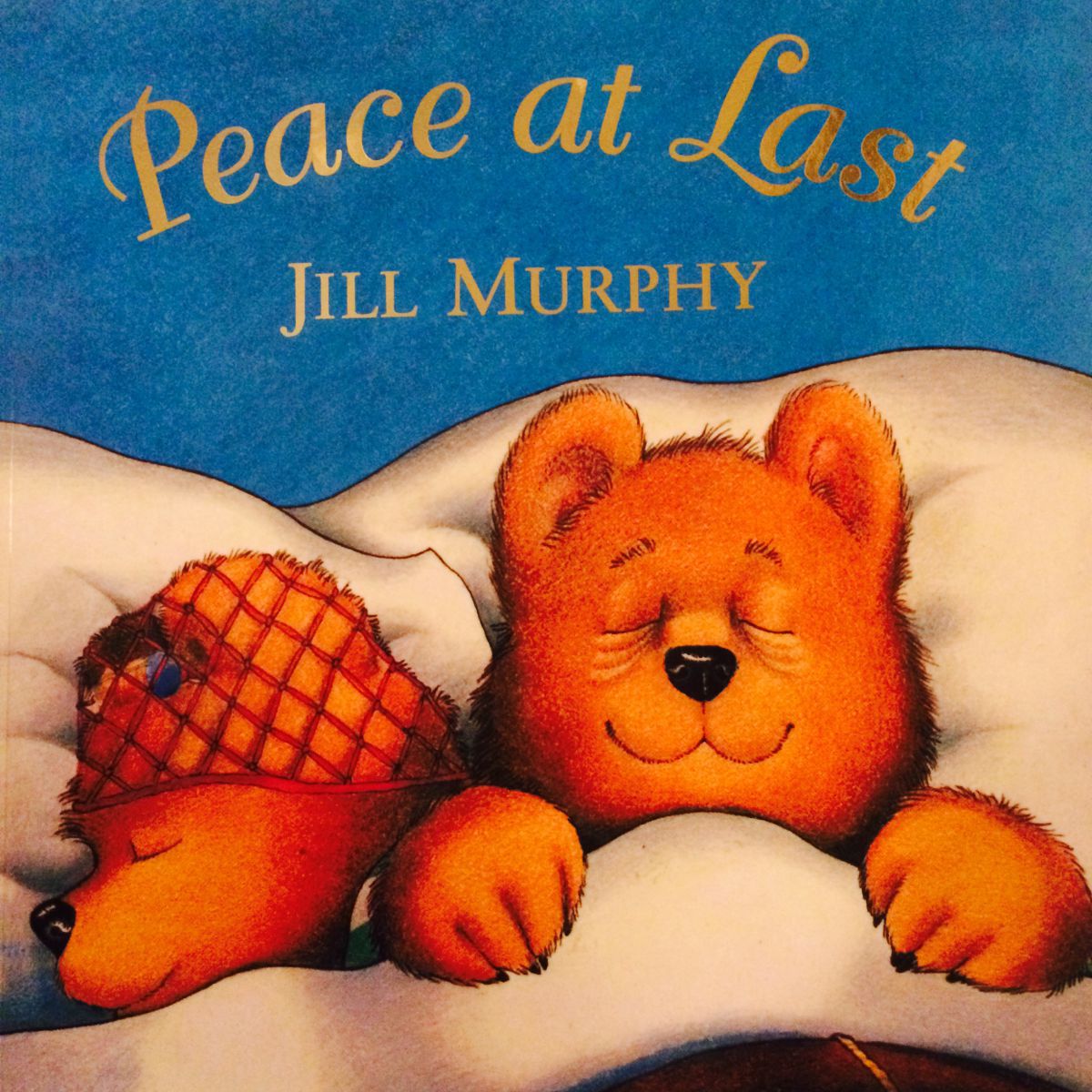 Torfaen Libraries Book Blog: A picture can paint a thousand words...