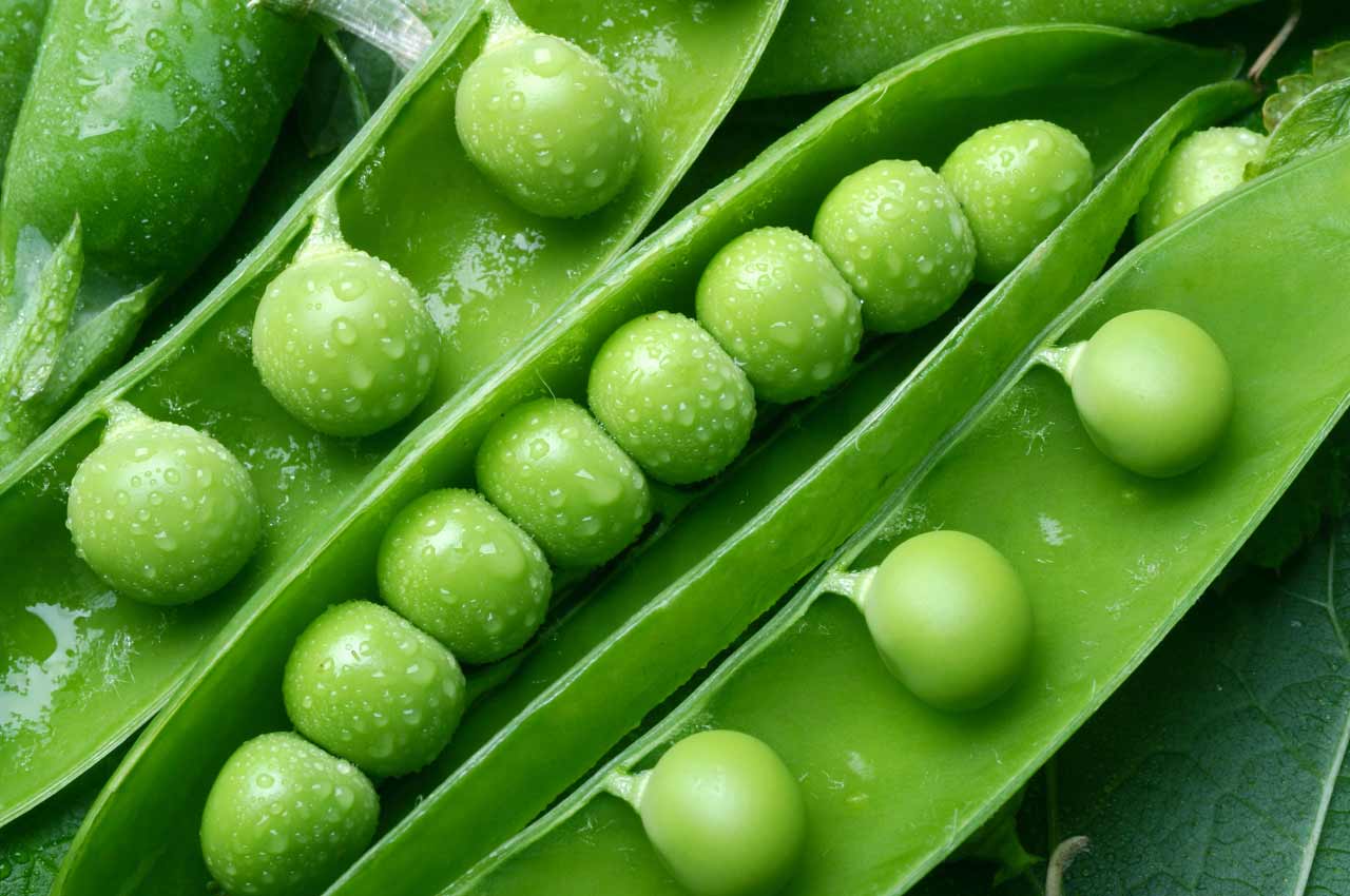 Blog 75: Recettes Bébés-Crème de petits pois
