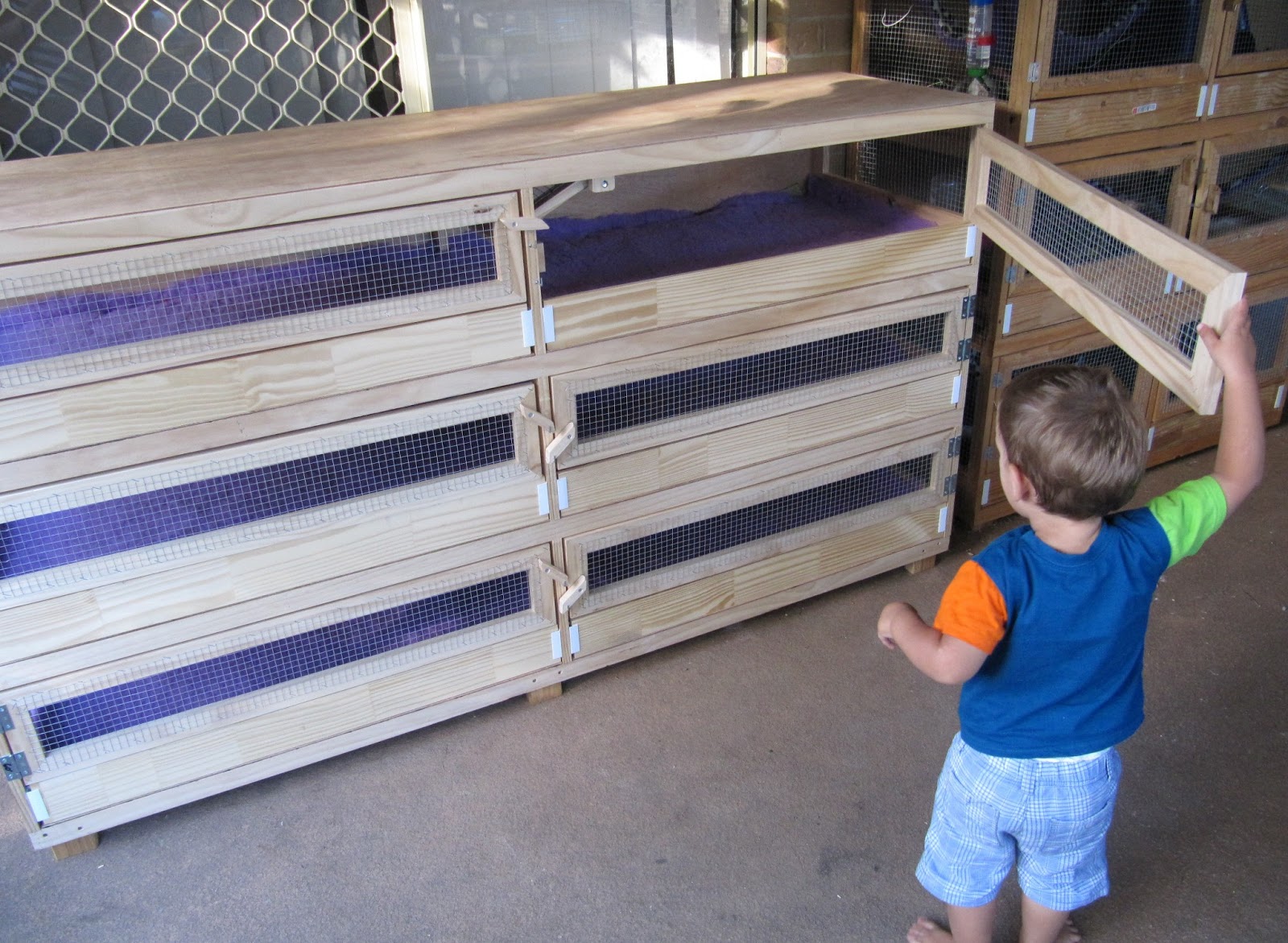 All Things Guinea Pig: Caviary Setup