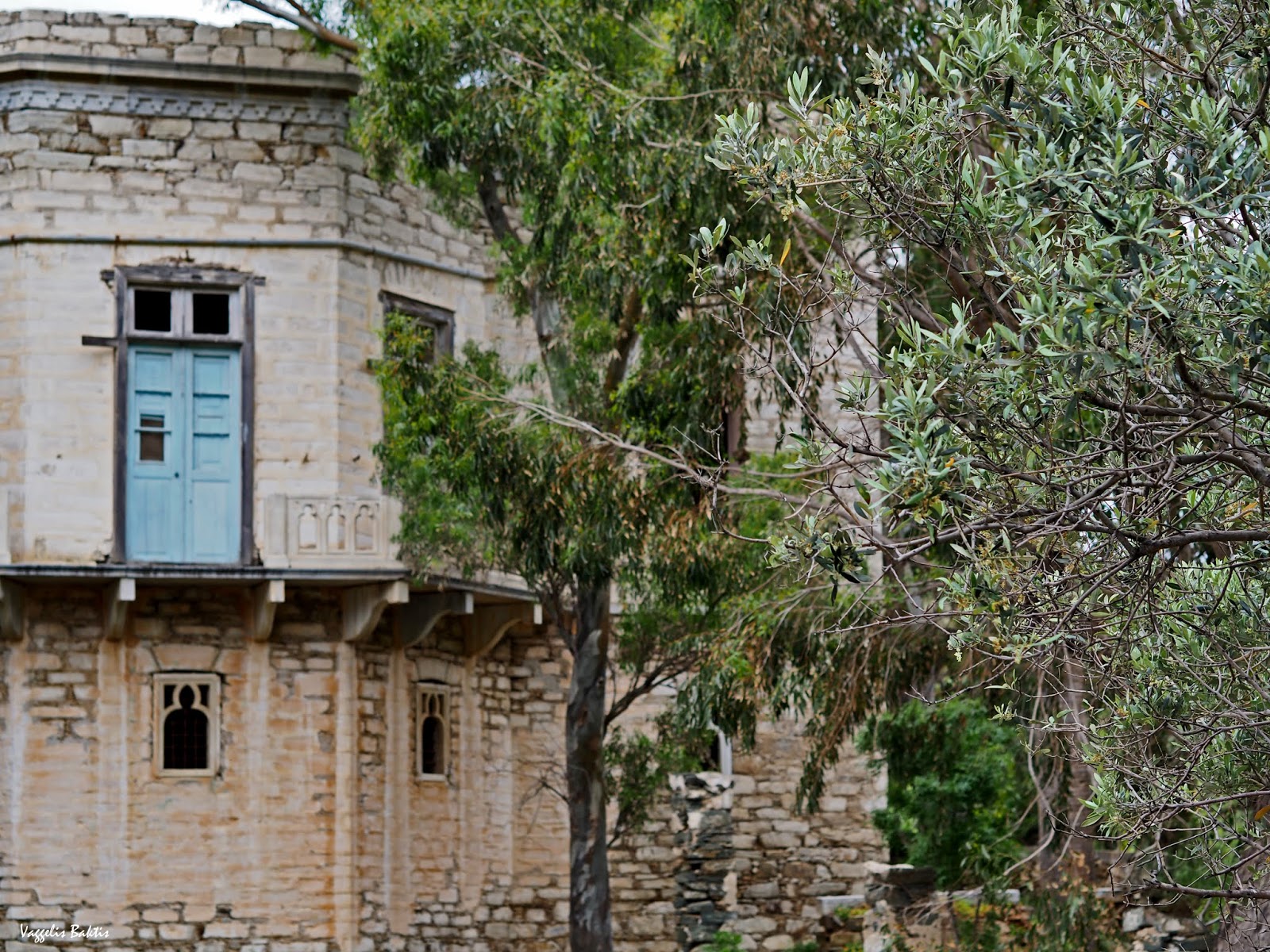 ΣΤ ΑΡΧΟΝΤΙΚΟ ΤΟΥ ΚΟΜΗ ΔΙΑΚΑΚΗ ( FOTO )