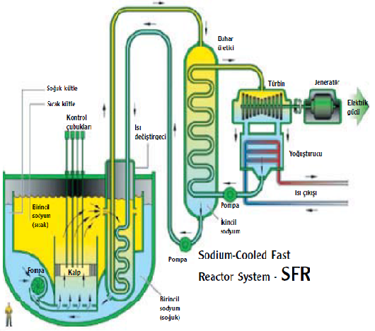 Bilgi: Sodyum-Soğutmalı Hızlı Reaktör Sistemi