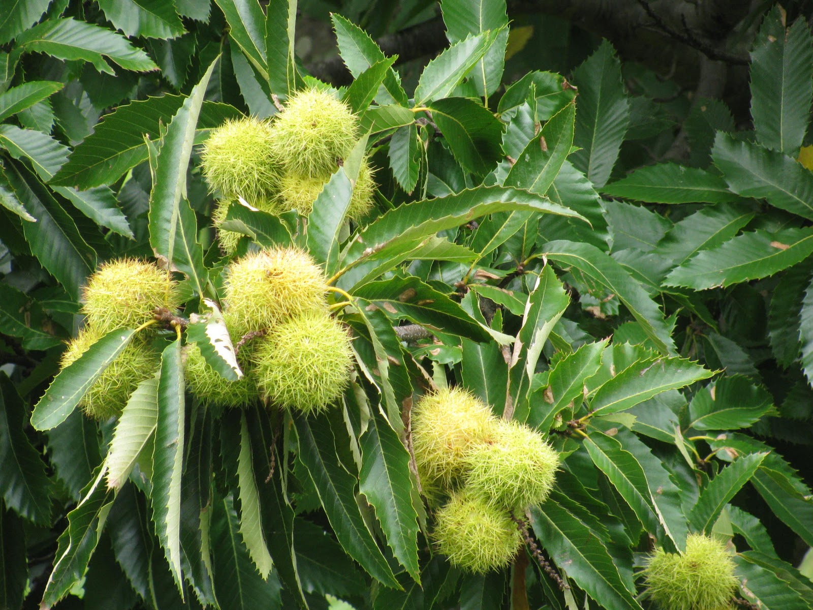 Join Jill and Nick as they take you behind the scenes to see where your ...