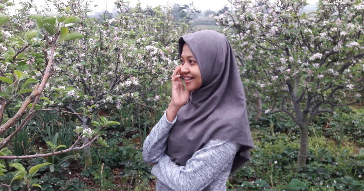 Mendadak Panen di Wisata Petik Apel - Batu, Malang! - Meykke Santoso