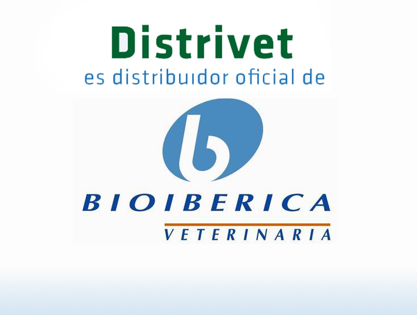 DISTRIVET NEWS: 2013