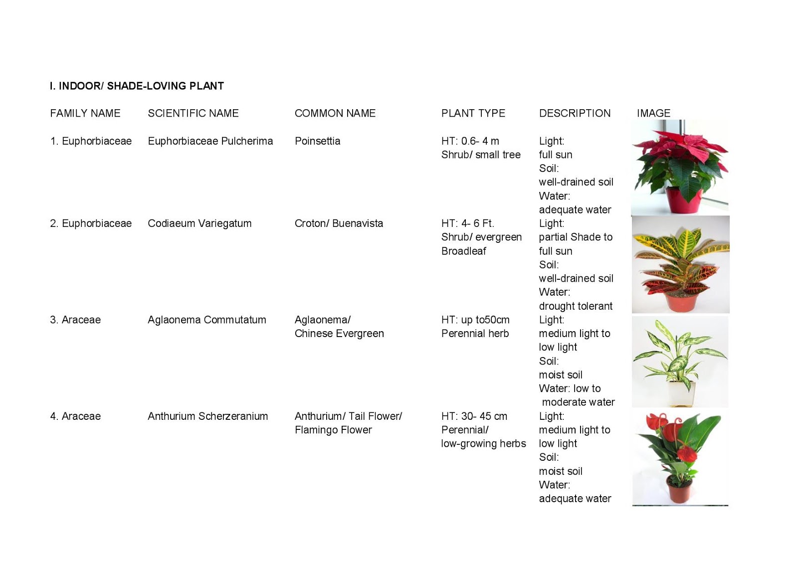 Softscape Materials: Plant List 1
