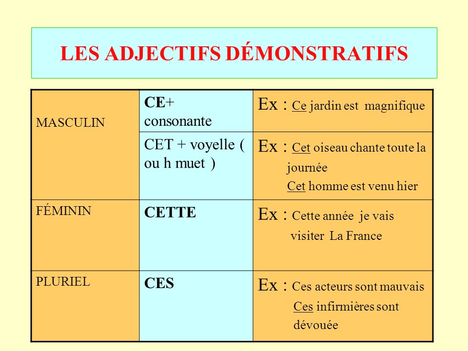 LE PLAISIR D'APPRENDRE: Les adjectifs démonstratifs