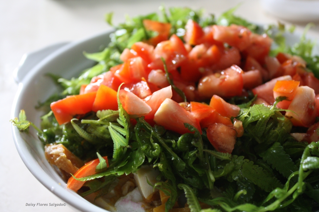 Pinay Mountain Chef: Ensaladang Pako