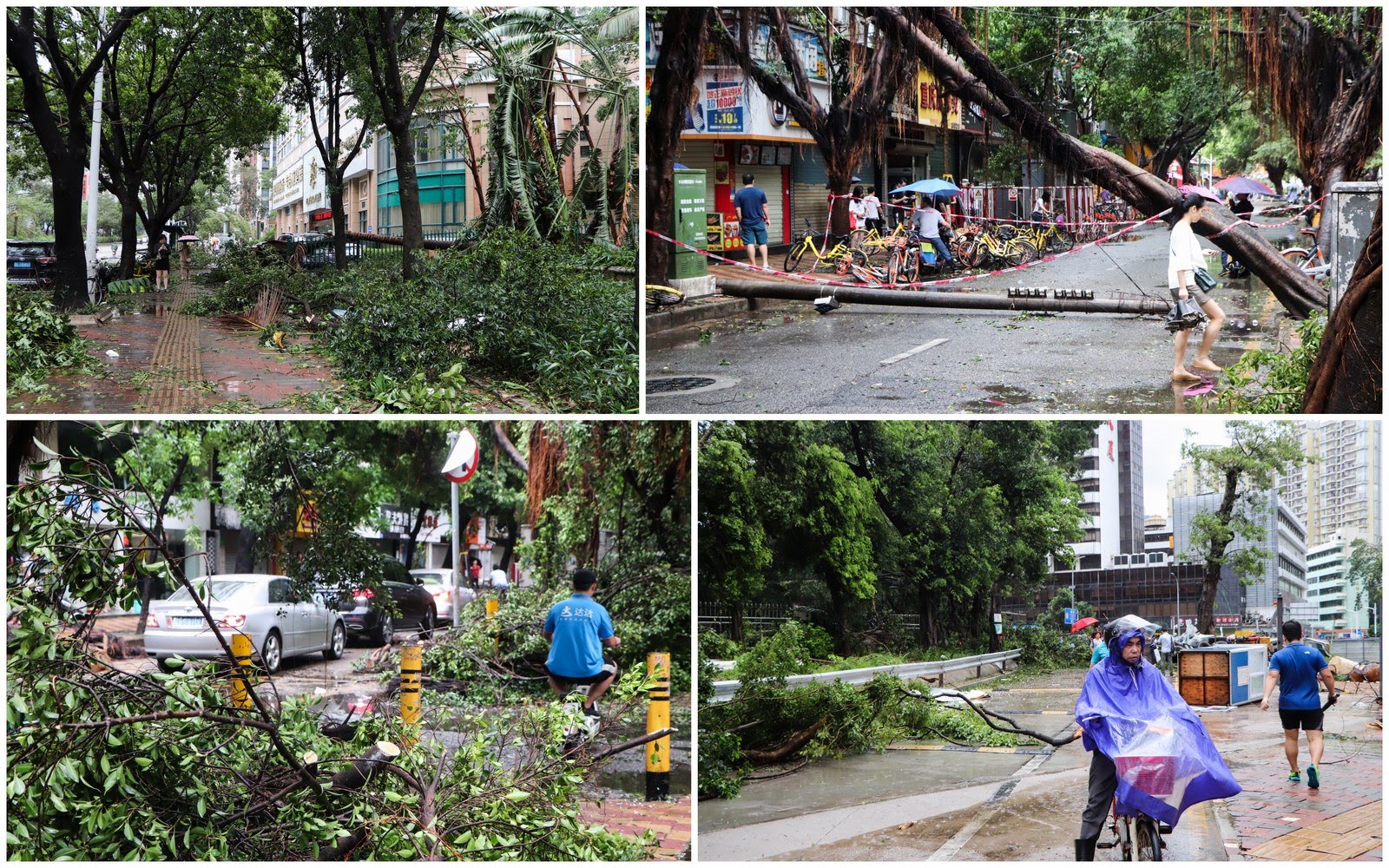 Le vent se lève… Un typhoon à Shenzhen