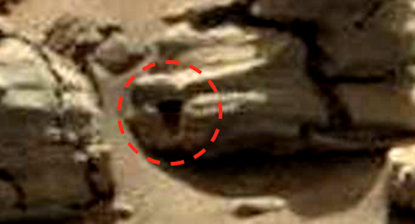 UFO SIGHTINGS DAILY: Alien Figure Seen Peeking Around Corner On Mars ...