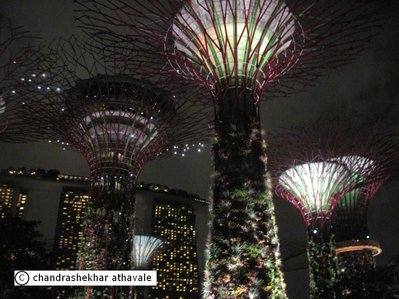 Singapore’s Gardens by the bay: Celebrating nature with Hi-Tech ...