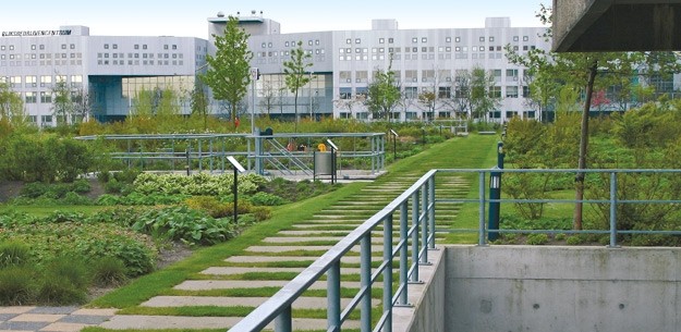 Science Technology: fixed plants