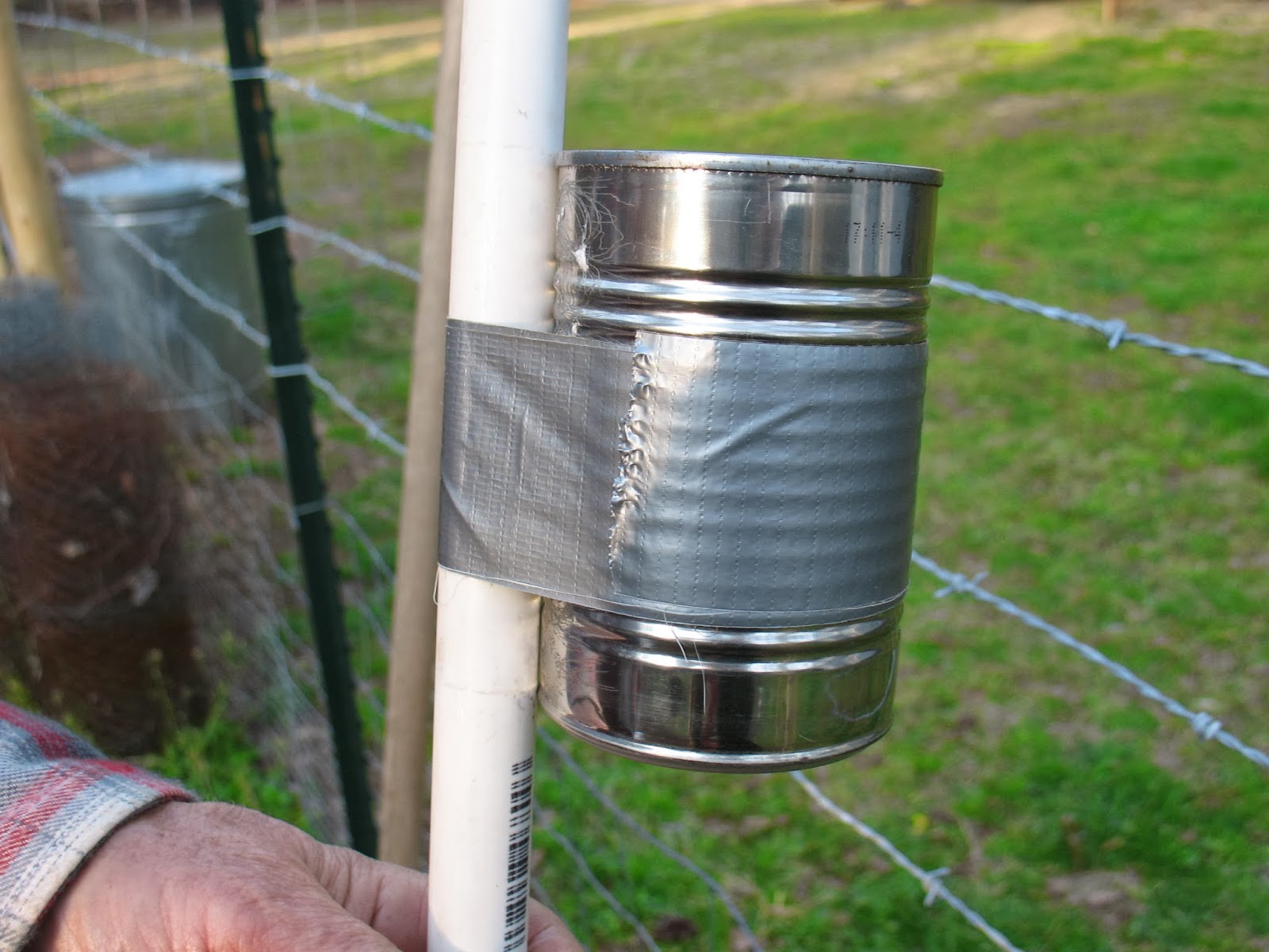 Sensible Survival: Build a Hand-Held Corn and Bean Planter