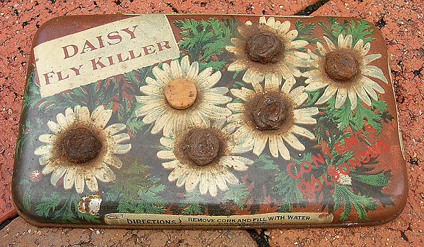 WESTERN KENTUCKY TREE CLIMBER: Grandma (90 years old) Remembers Western ...