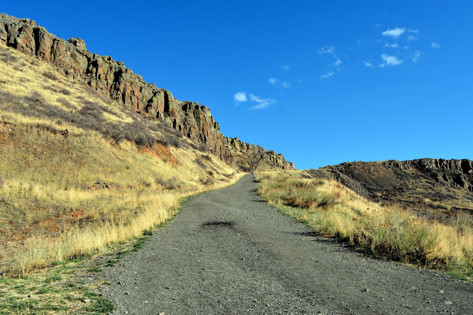 Mille Fiori Favoriti: North Table Mountain Trail and Park, Golden, Colorado