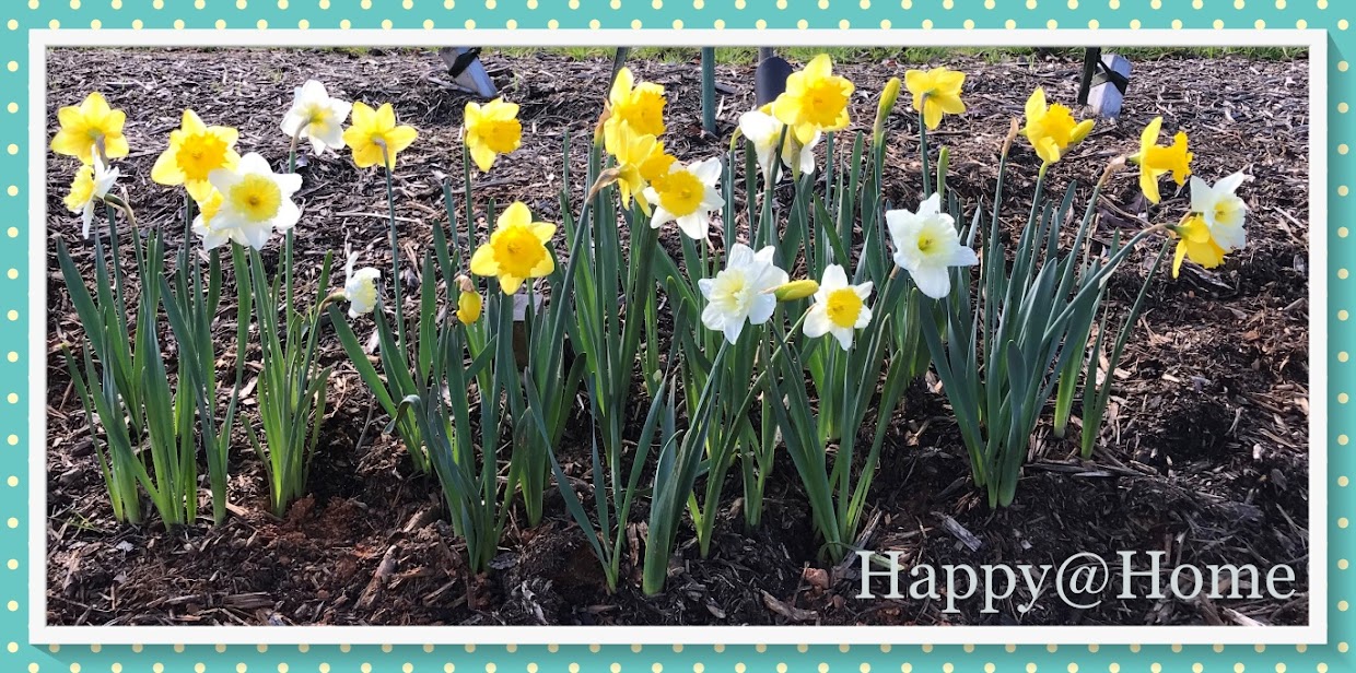 Happy@Home: Vignettes in the Dining Room