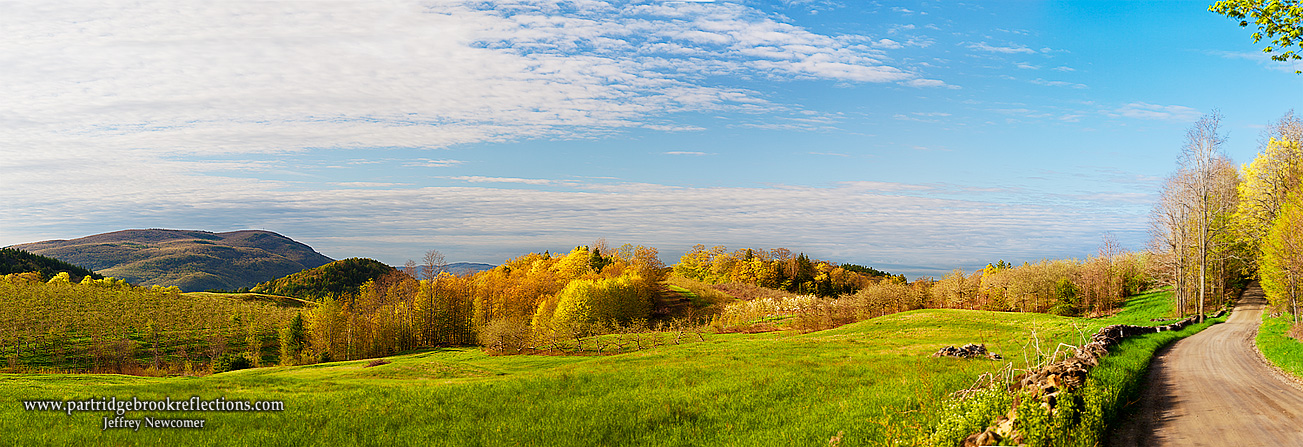 Getting it Right in the Digital Camera : Photographic Treasures of ...