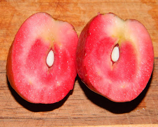 Lise's Log Cabin Life: Lise's Crab Apple Jelly