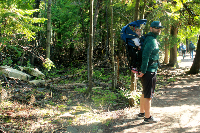 All Aboard to Flowerpot Island | To & Fro